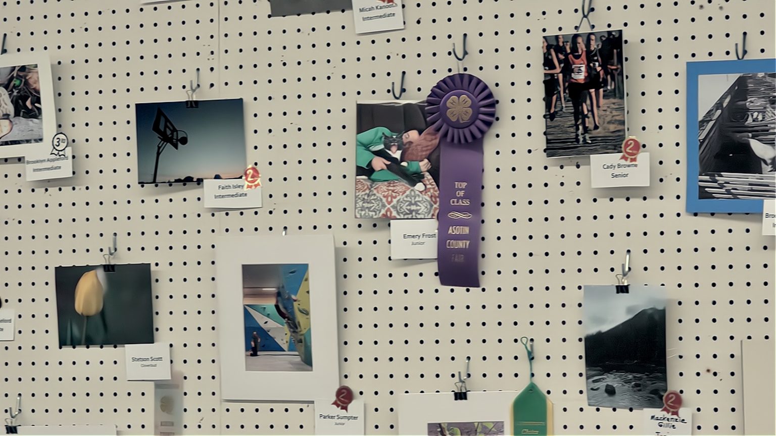 Open Class Entry Information - Asotin County Fair and Rodeo